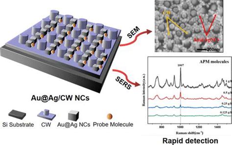 Au Ag Acs Applied Materials
