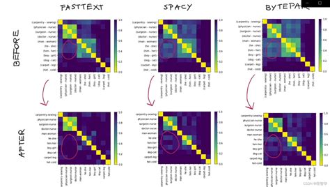 Rasa课程、rasa培训、rasa面试、rasa实战系列之 Debiasing Via Projections Doesnot Always