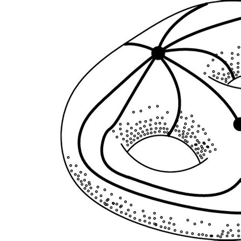 two examples of topological maps on orientable surfaces left the
