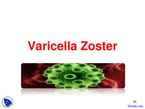 Varicella Zoster Virology Lecture Slides Docsity