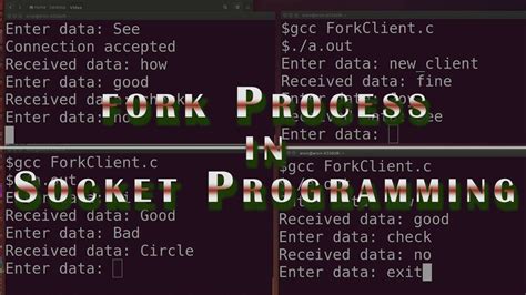 Fork Process In Socket Programming Fork Using Socket Tcp Connection