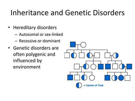Ppt Patterns Of Inheritance Powerpoint Presentation Free Download Id 3133372