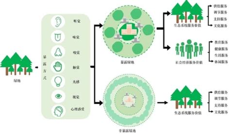 基于最新solves 模型与多技术融合实现生态系统服务功能社会价值评估及拓展案例分析 哔哩哔哩