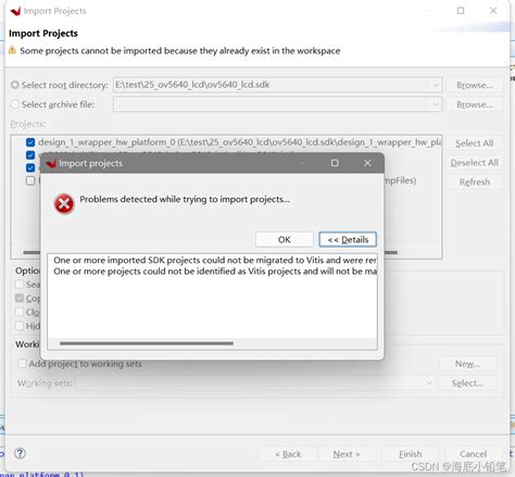 Vitis中导入sdk工程的两种方法 Csdn博客