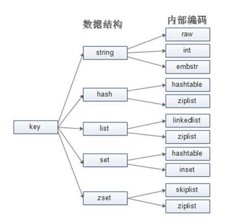 redis 数据结构 阿里云开发者社区