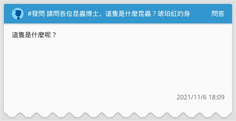 發問 請問各位昆蟲博士這隻是什麼昆蟲琥珀紅的身體真的很特別 問答板 Dcard