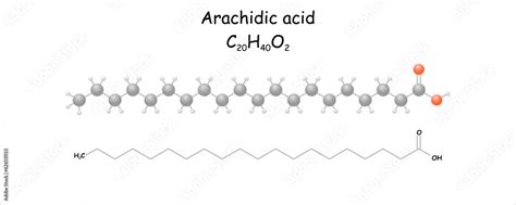 Stylized Molecule Model Structural Formula Of Arachidic Acid Component Of Detergents And