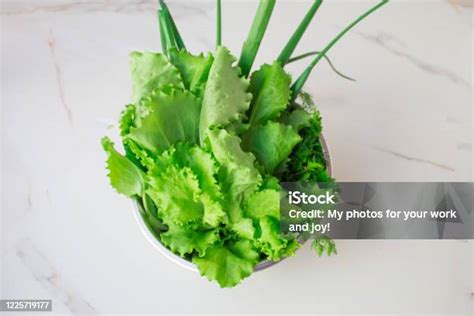 신선한 채소와 채소 밭 샐러드 딜 파슬리 양파를 흰색 대리석 테이블에 다리미컵에 넣고 복사 공간을 함께 섞는다 건강한 생활방식에 대한 스톡 사진 및 기타 이미지 Istock