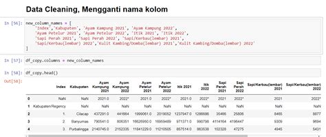 Github Syaerulidstadatabpstutor Tutorial Menggunakan Stadata Package Bps