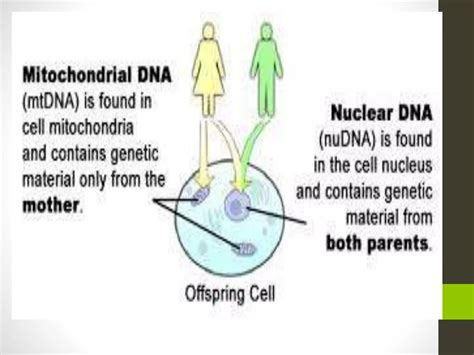 the different pattern of inheritance pptx genetics science
