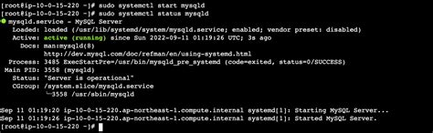 Ec2 Linux에서 Mysql 설치시 Public Key For Mysql Community Common 8030 1el7x8664rpm Is Not