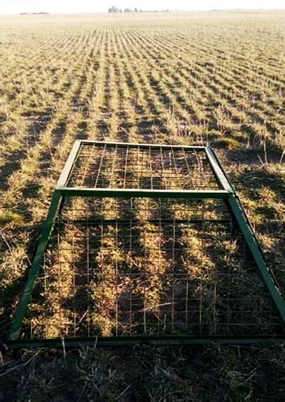 Agropiro En Patagones Evaluación Cuantitativa Y Cualitativa En Cuatro