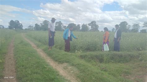 နတ်မောက်မြို့နယ် စည်သာကျေးရွာ၌ မြစိမ်းရောင်ကျေးရွာစီမံကိန်းလုပ်ငန်းများ