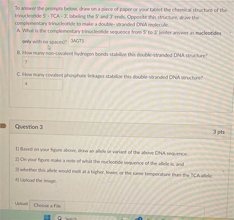 Solved To Answer The Prompts Below Draw On A Piece Of Paper