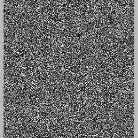 Histogram Chaotic Encrypted Image Download Scientific Diagram