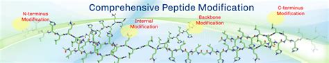 Peptide Modifications Premierbiochem