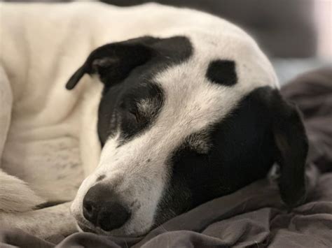 Rich Seviora On Linkedin Tldr Evidence Is Critical In Diagnosing