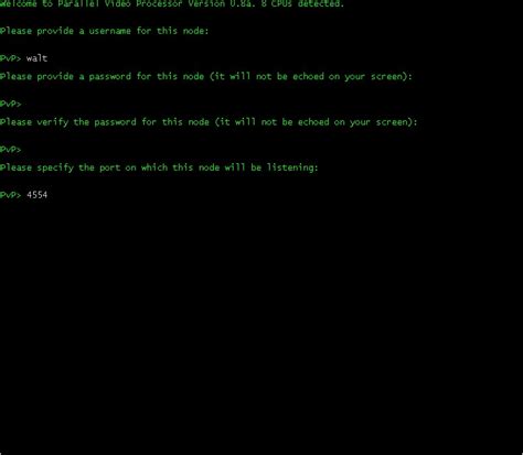 Parallel Video Processor Quick Start