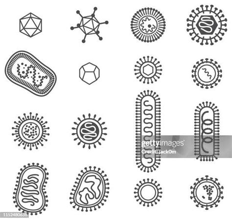 Rna Diagram Photos And Premium High Res Pictures Getty Images