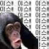 야스짤 OP GG