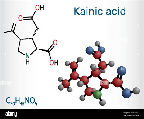 Kainic Acid Or Kainate Molecule It Is Neuroexcitatory Amino Acid