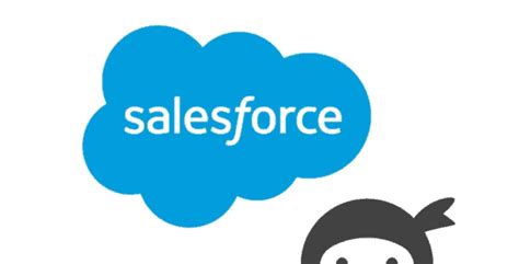 Ninja Forms Salesforce Crm Addon 334