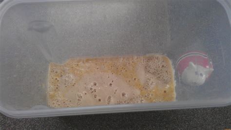 An Experiment With Sourdough Part 2 Ricette Misfatti Recipes Misdemeanors