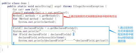 深入理解：反射攻破final修饰的变量与获取实体类方法 Csdn博客