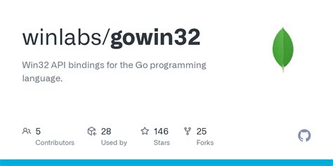 Github Winlabsgowin32 Win32 Api Bindings For The Go Programming Language