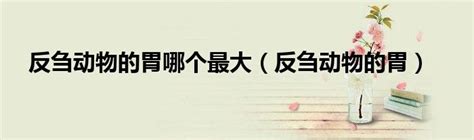 反刍动物的胃哪个最大反刍动物的胃 草根科学网