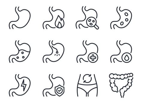 68400 Stomach Stock Illustrations Royalty Free Vector Graphics