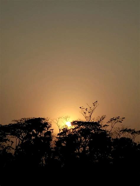 Sazzad Rahman On Linkedin A Splendid Day Is On The Horizon Insha