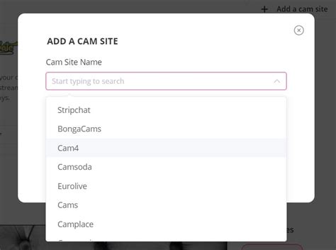 Lovense Stream Master Разбор Инструмента Для Трансляции Веб Моделей