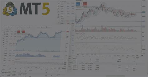 How To Set Reset Your Metatrader 5 Mt5 Account Password Blackbull Markets