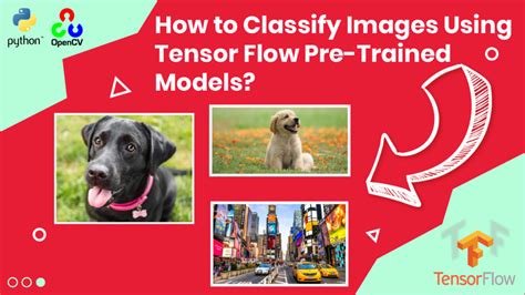 Code For Tensorflow Image Classification Tutorial Resnet50 Vs