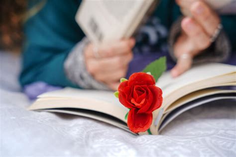 Pagination Bilder Durchsuchen 977423 Archivfotos Vektorgrafiken Und