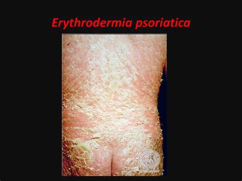 Студенти Свјетлана Тодоровић Миљана Вуковић Ppt κατέβασμα