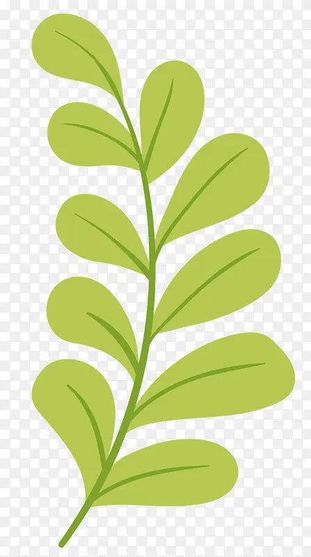 Png Png