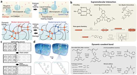 A Schematic Diagrams Of Extrinsic And Intrinsic Self‐healing Systems