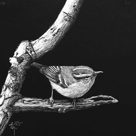 Li Yong Hong Scratchboard Artist And Photorealistic Illustrator