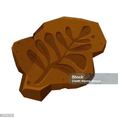 공룡 화석 발자국 파충류 발자국 흰색 배경에 고립 된 만화 스타일 고고학 및 고생물학 발견 벡터 일러스트 레이 션 갈고리 발톱에 대한 스톡 벡터 아트 및 기타 이미지