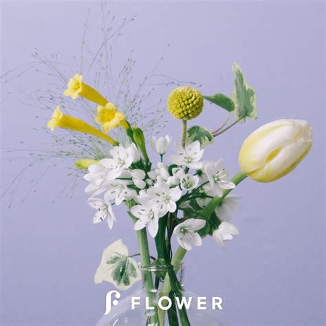 キルタンサス チューリップ ゴールドスティック アリウムコワニー FLOWERロスレスブーケ販売中かわいいが届くお花便