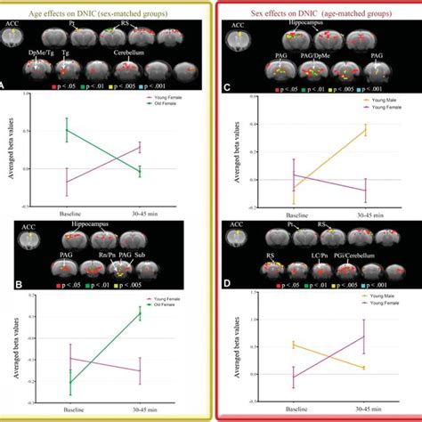 Schematic Illustrating The FMRI Experimental Design All Groups Download Scientific Diagram