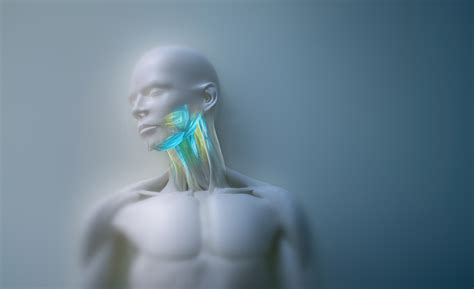 Random Elements Bose Collins