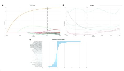 Lasso Althorithm On Feature Selection A Lasso Path B Mse Path