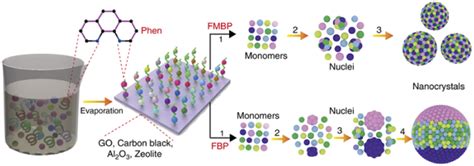 Schematic Diagrams Show Synthesizing Homogeneous And Phase Separated Download Scientific