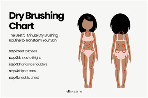 The Ultimate Dry Brush How To Guide The Best Dry Brushing Techniques