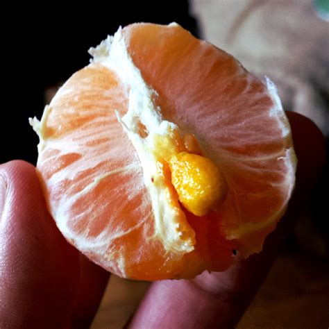 This Clementine Had Another Clementine Growing Inside It R Mildlyinteresting