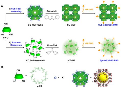 Scheme 1 Schematic Synthesis Of Cl Mof Gs5 Mof And Gs5 Ns