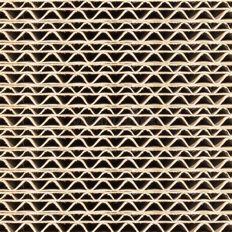 Profile Of Cardboard Stock Image Image Of Cardboard 37468441